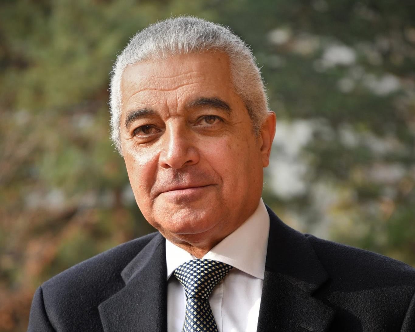 The Race for the World Trade Organization – The Cairo Review of Global ...